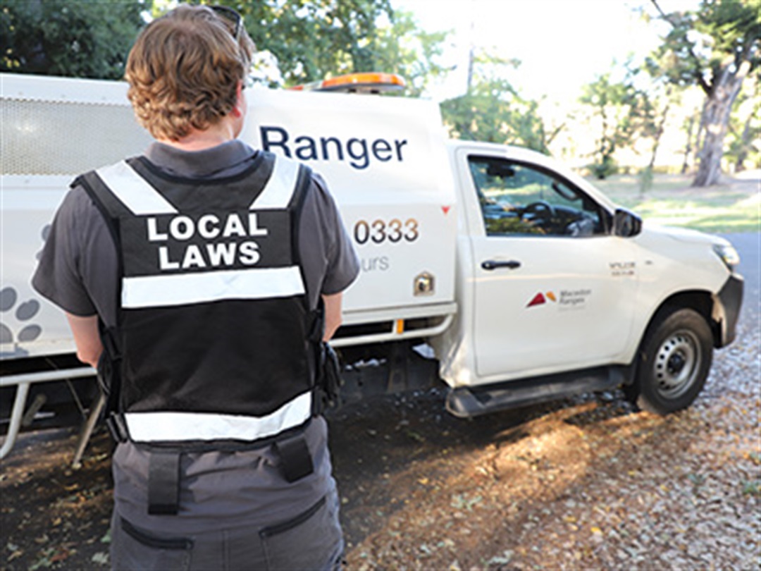 Lost and found animals - Macedon Ranges Shire Council